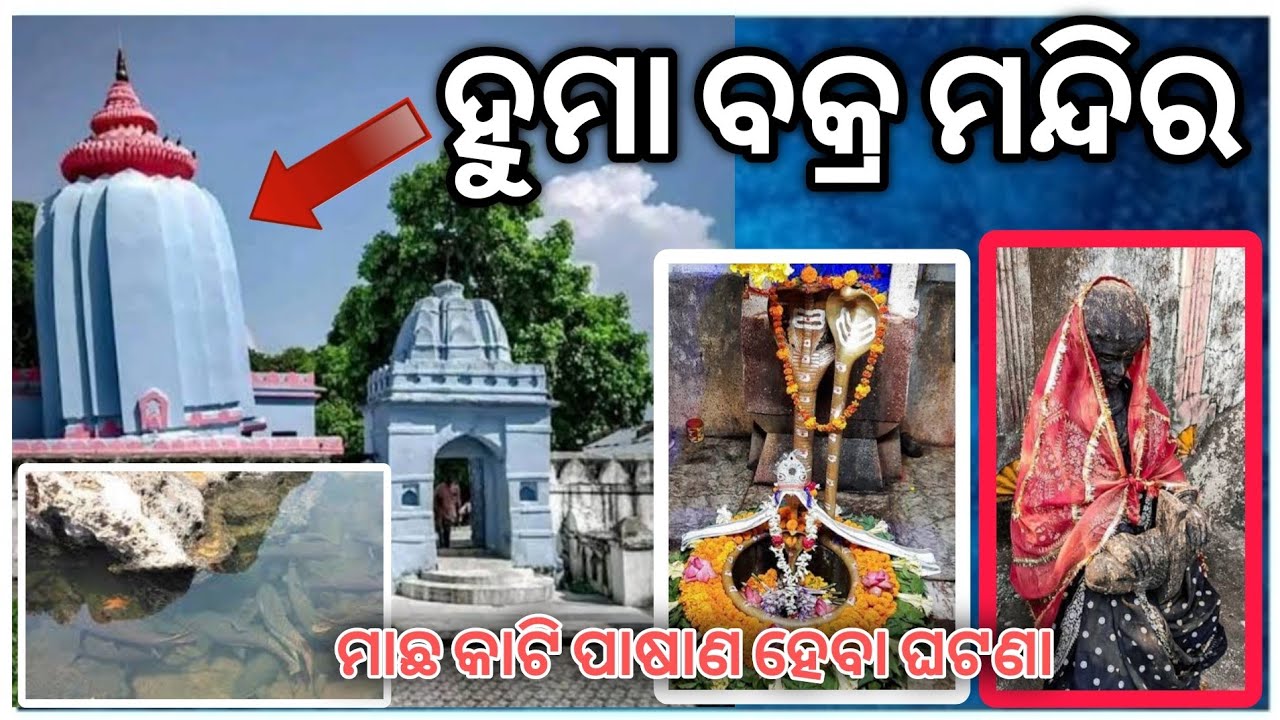 Huma Temple Sambalpur Odisha | Huma Brakra Mandir | Huma Fish Story ...
