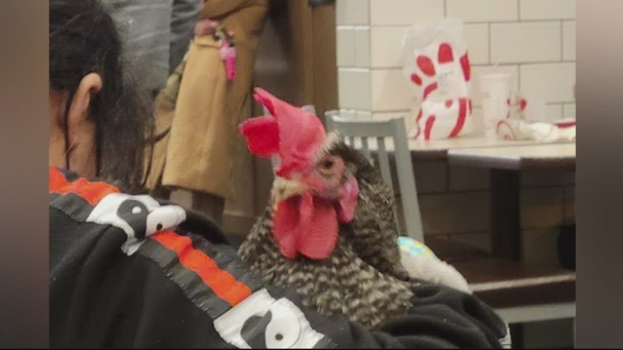 Chick-fil-a Chicken | Open Mic - YouTube