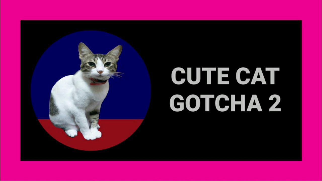 26. Cute Cat Gotcha 2 - YouTube