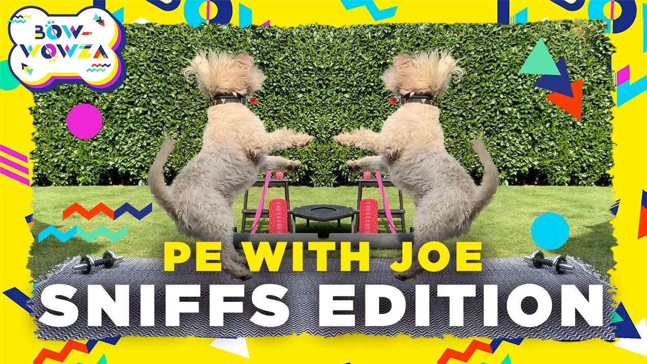 P.E. With Joe (Sniffs) | The Sniffs Edition - YouTube