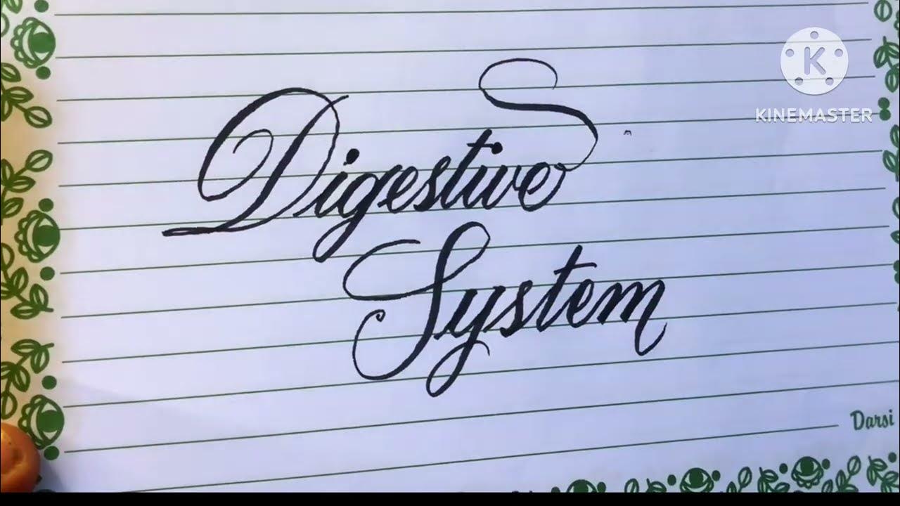How to write ️ digestive system in calligraphy beautiful and stylish ...