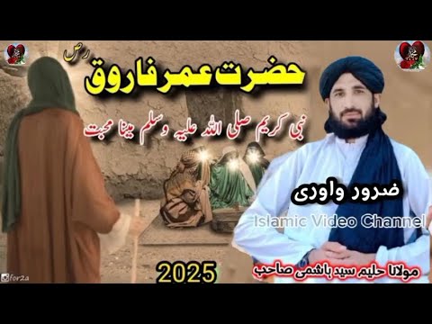 Maulana Haleem Syed Hashmi Sab Bayan 2025 | da huzrat omar farooq woqa | مولانا سید حلیم ہاشمی بیان