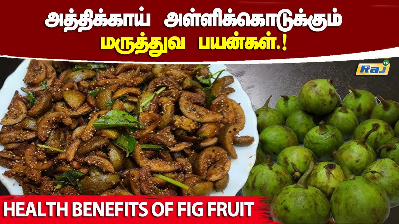 அத்திக்காய் மருத்துவ பயன்கள் | Health Benefits of Fig Fruit | Athikai ...