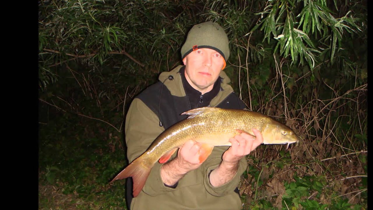 Barbel Fishing at A1 Pits 5th to 7th July 2015 - YouTube