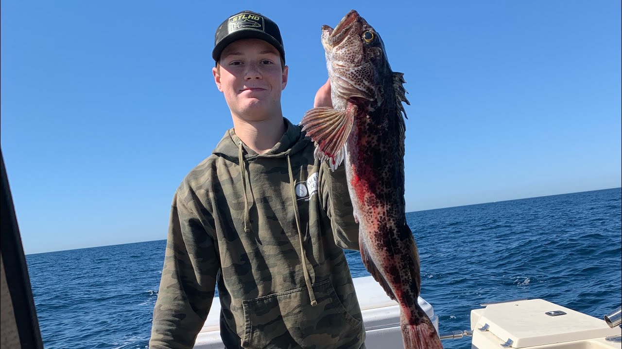 3 LINGCOD While Rock fishing Southern California! - YouTube