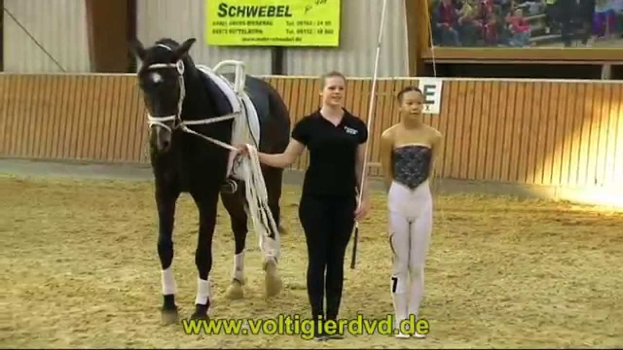 5 LVWK 2014 EV L 01 Gina Herrmann - YouTube