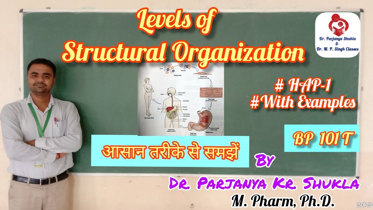 Levels of Structural Organization | Human Anatomy & Physiology | Body ...