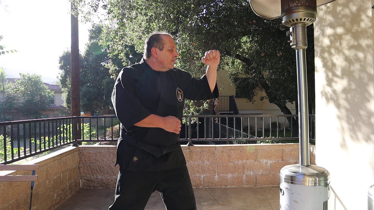 Te-Kempo-Jujitsu, Sensei Mike Pecina, 5 Defensive positions - YouTube