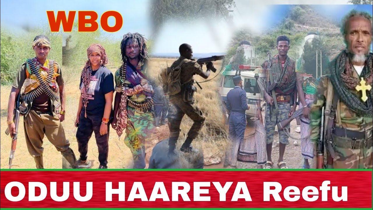 ODUU MOHA FALMII WBO Finxaaleeyyin Fanno Amaaraa WALLO irratti dugugga ...