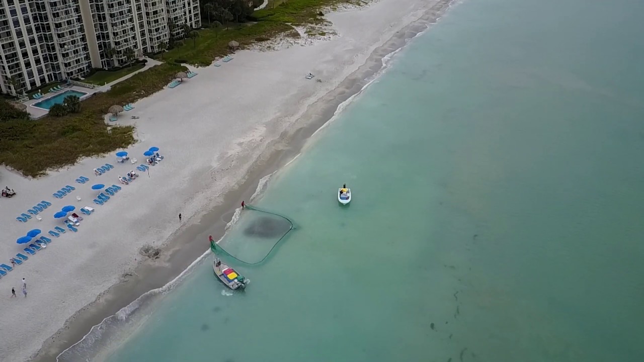 Longboat Key harvesting the bounty of the sea - YouTube