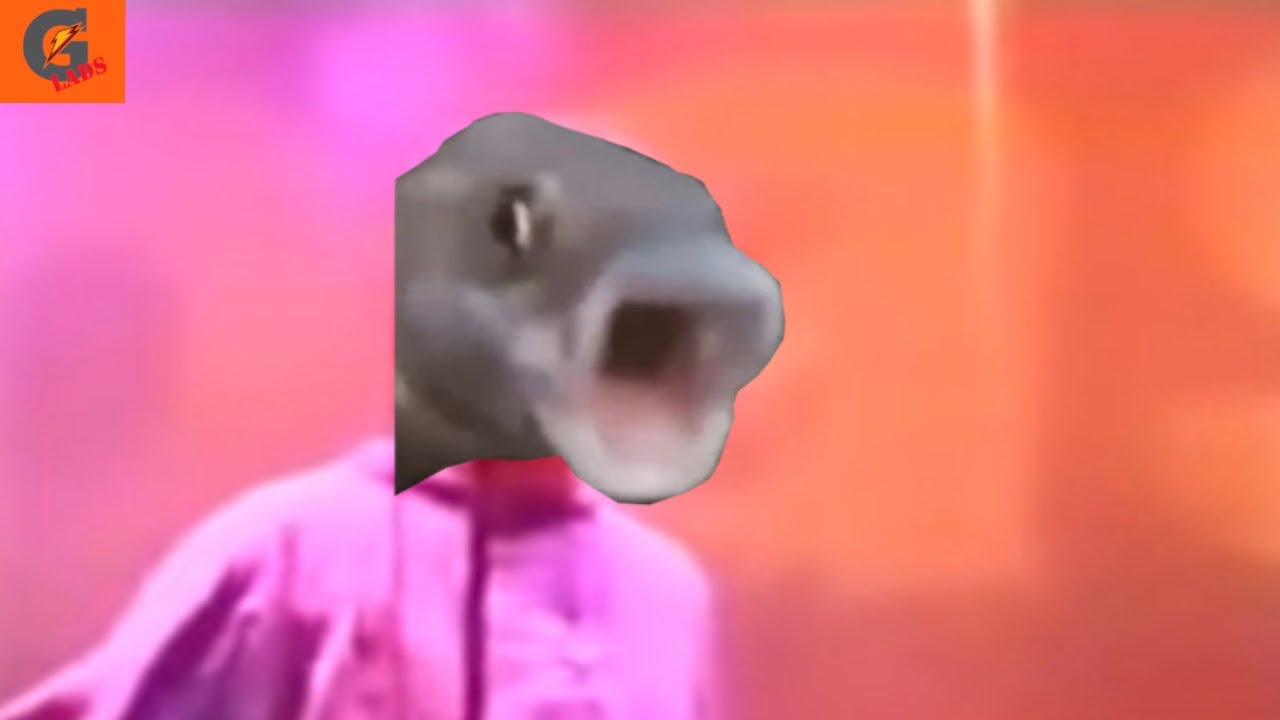 Fish Turns Into Liam Gallagher - YouTube