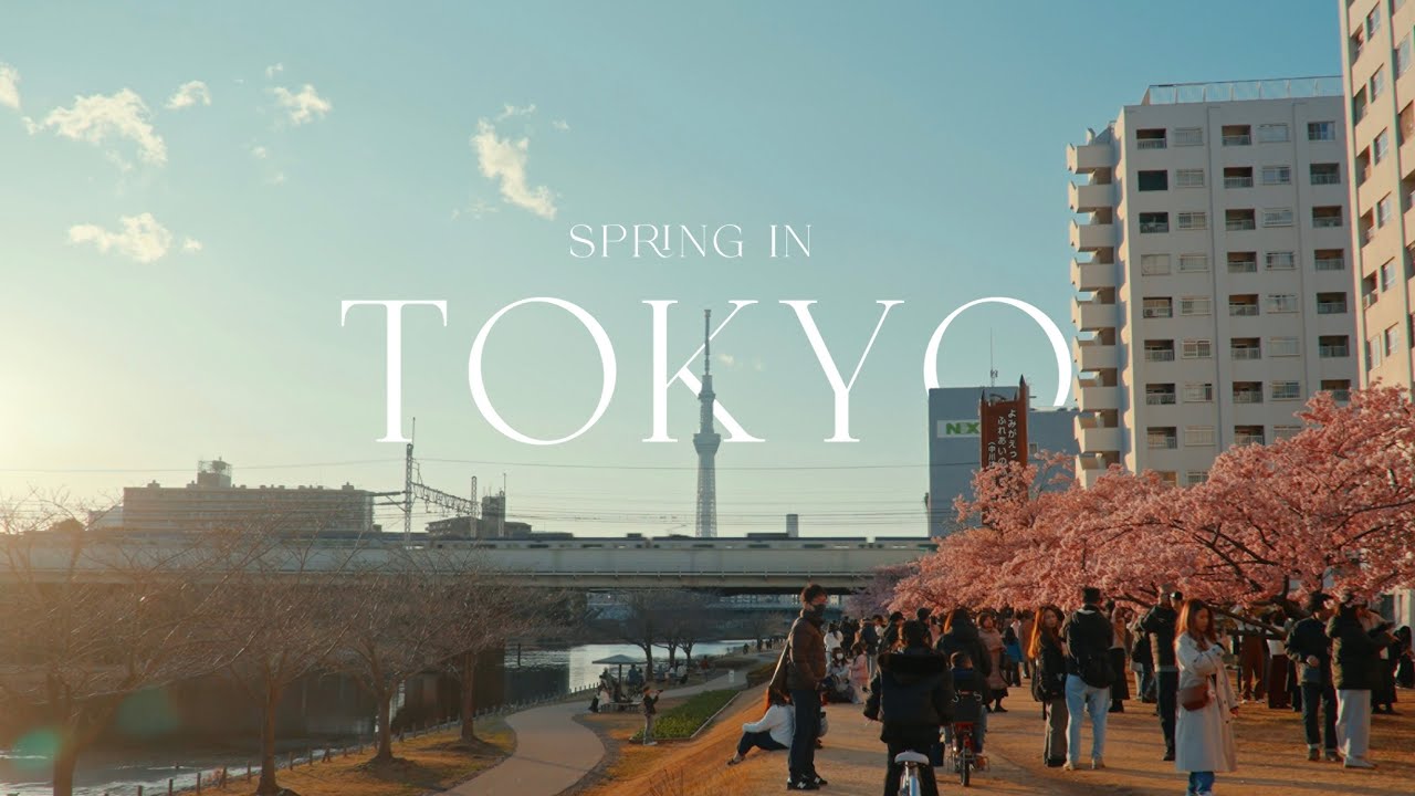Spring in Tokyo 2025 | 桜が彩る街の風景【4K】 - YouTube