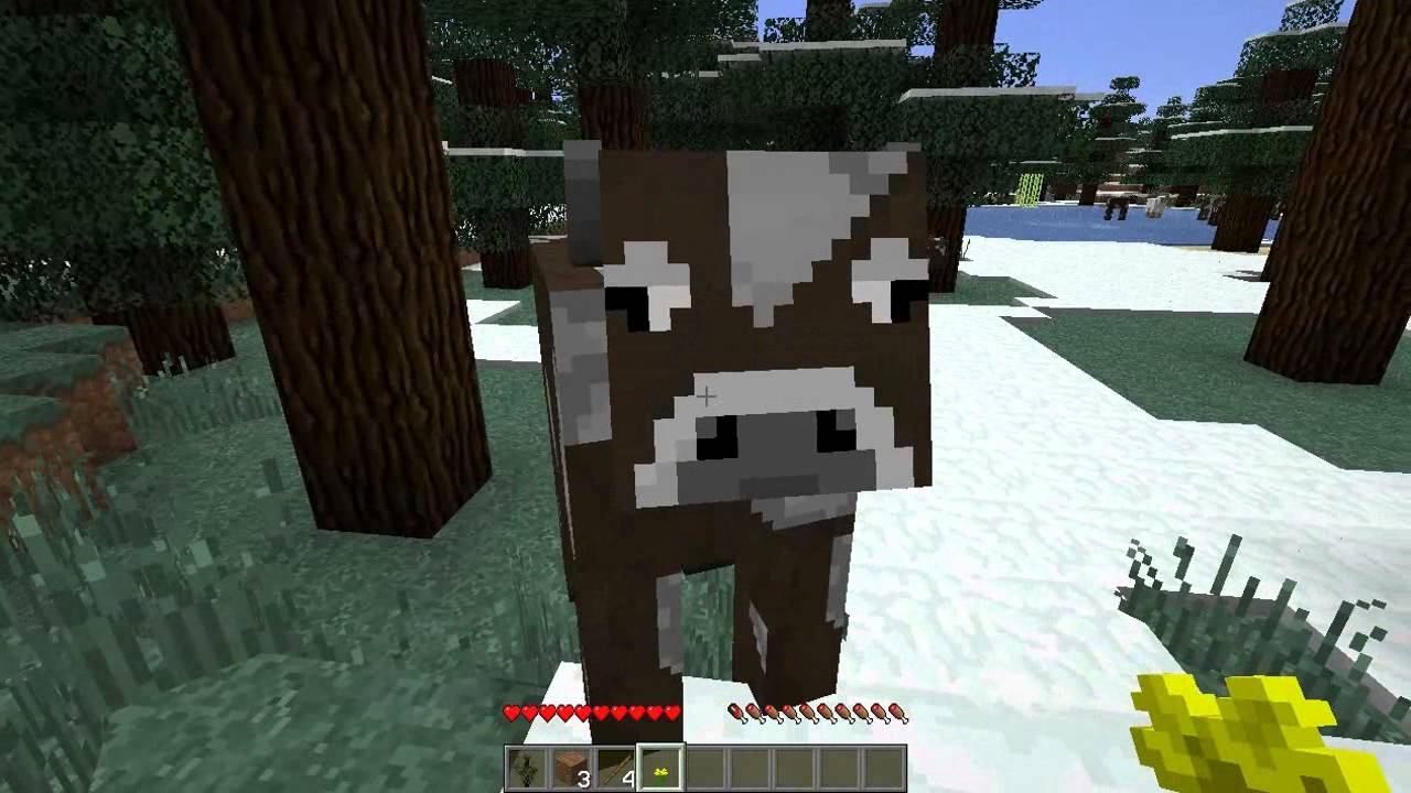 Elmo Plays Minecraft!? - YouTube