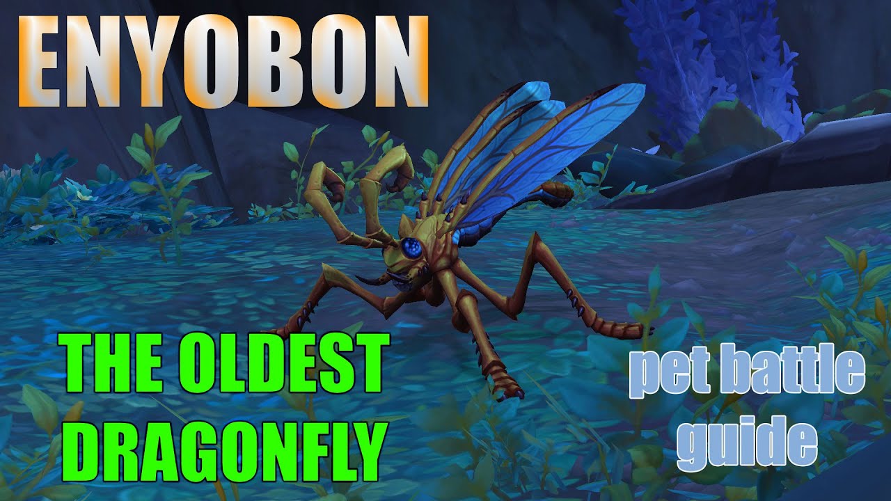 How to beat Enyobon - The Oldest Dragonfly WQ - World of Warcraft pet battle guide. (ENG) - YouTube