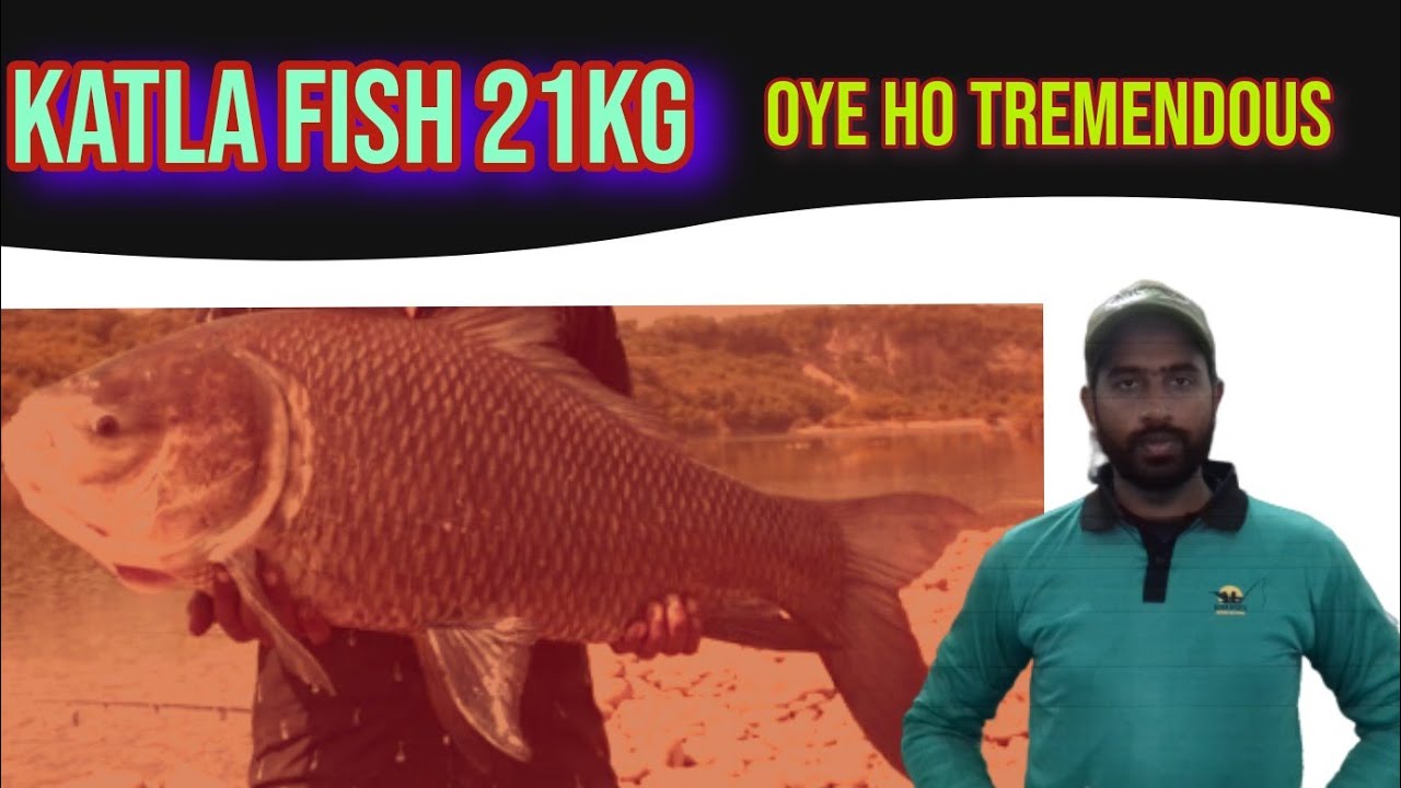 Big Katla Fish 21kg|lockDown fishing |River Jhelum in Pakistan |مچھلی ...