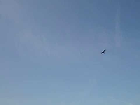 Sky "Blue Sky - Birds are singing" Part 92 - YouTube