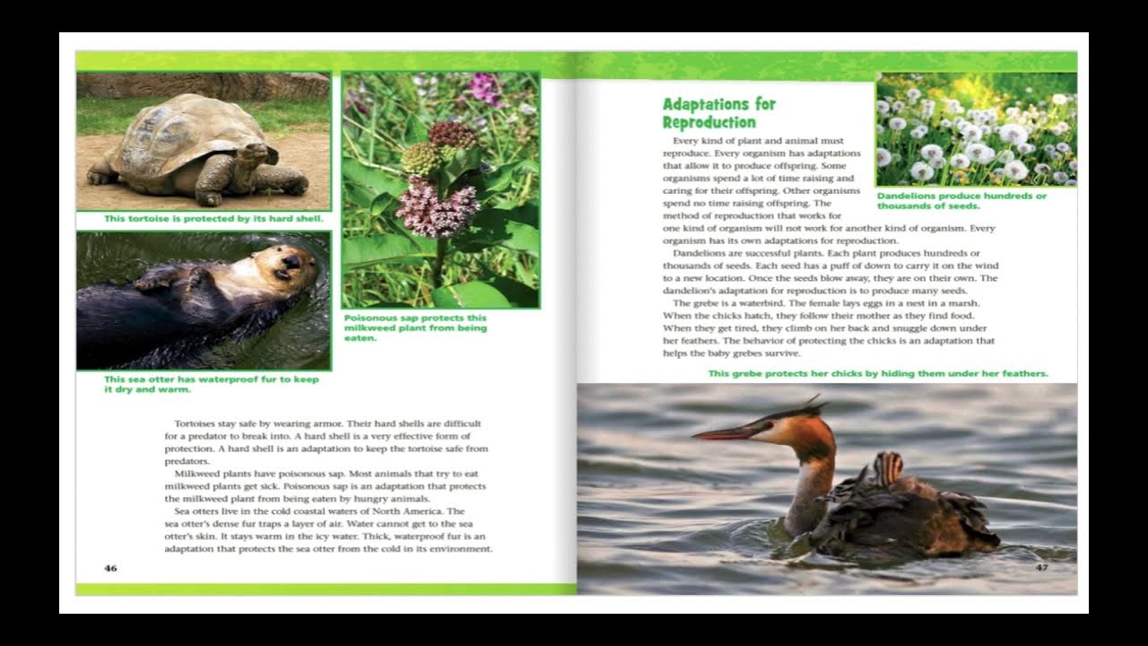 FOSS e-book read-aloud "Animal Adaptations" - YouTube