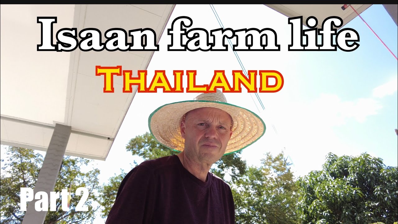 Thailand 🇹🇭 Isaan Farm Life - YouTube