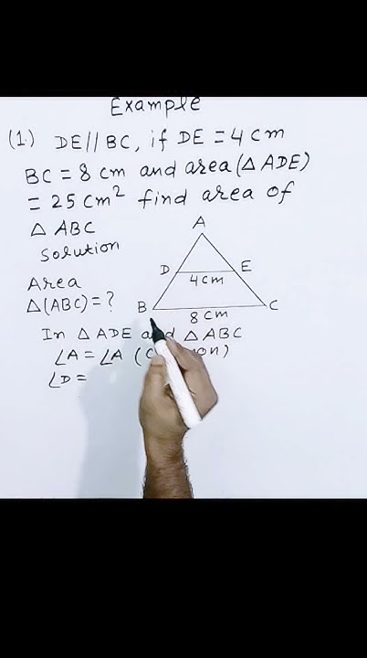 Similar triangles (Class 10) - YouTube