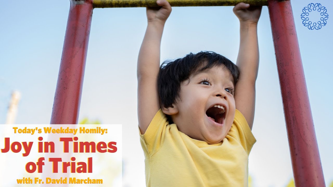 Joy in Times of Trial | Father David Marcham - YouTube