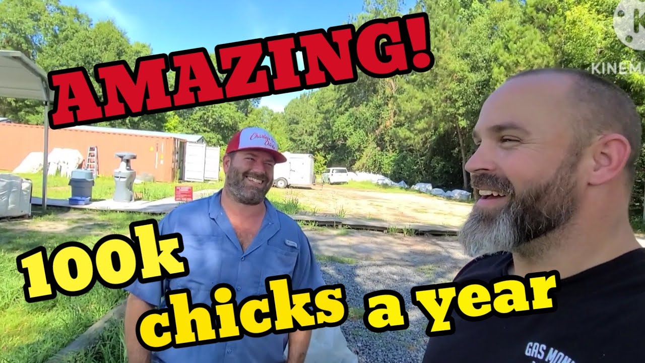 AMAZING CHICKEN MAN!! Turns out 100k chickens a year On 3 ACRES! # ...