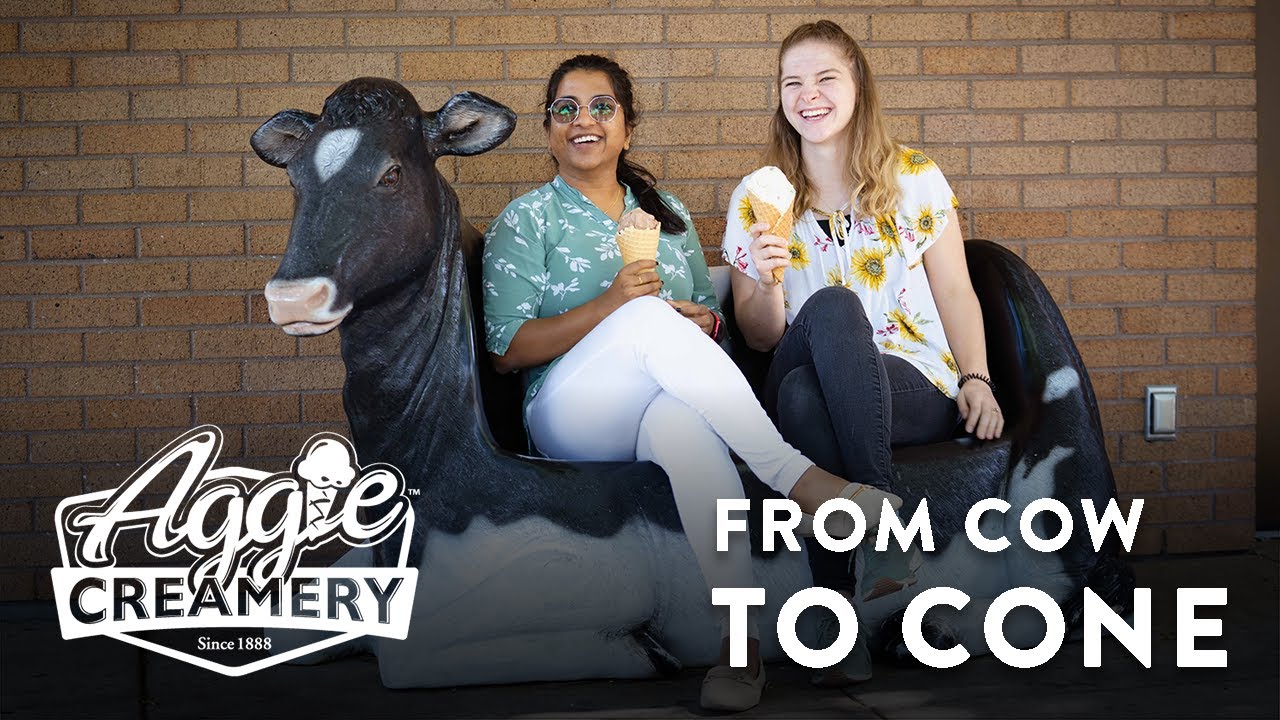 Cow to Cone: Utah State University's Aggie Creamery - YouTube