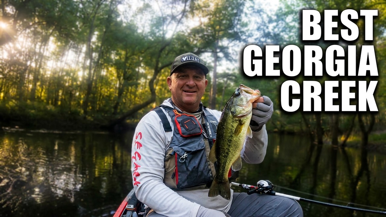 BEST creek EVER in Georgia ! - YouTube