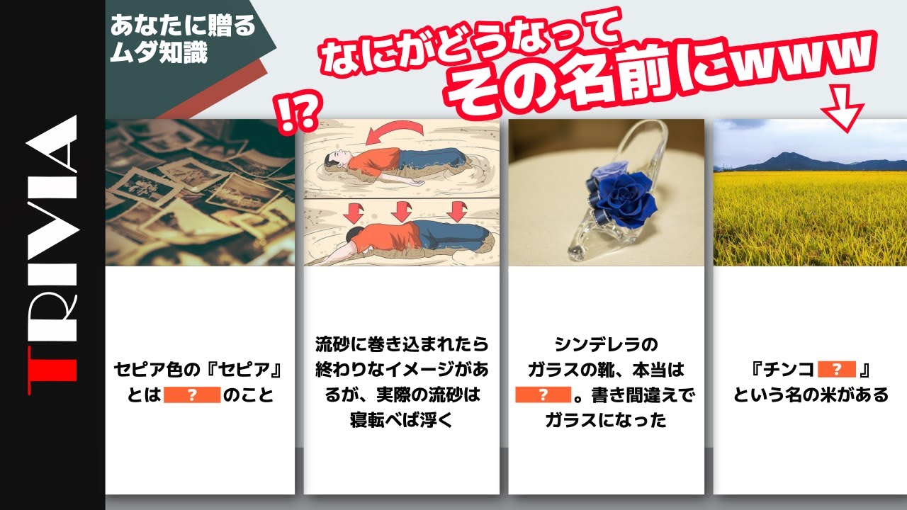 【雑学】誰かに話したくなる明日使える豆知識 15選 Youtube