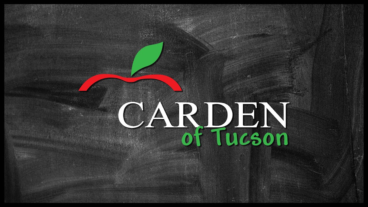 Get to know Carden of Tucson! - YouTube
