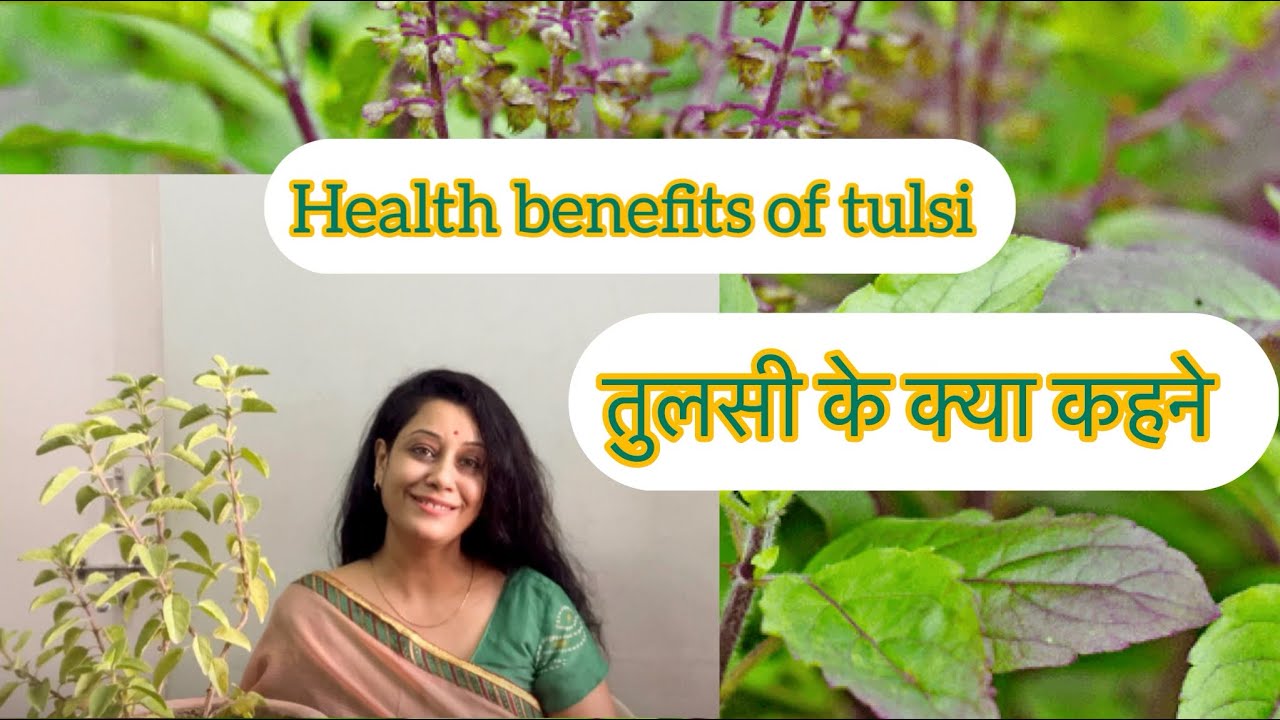 Amazing health benefits of tulsi - YouTube
