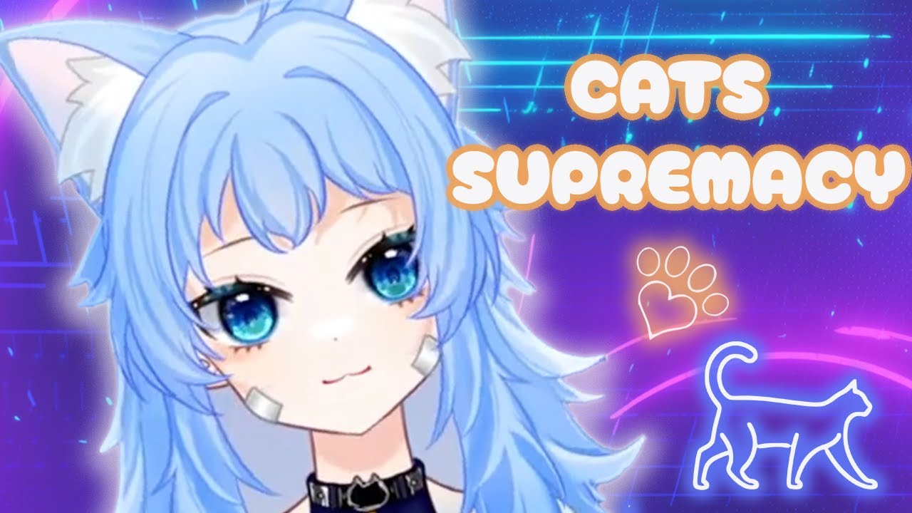 Cats Supremacy 🐱 - YouTube
