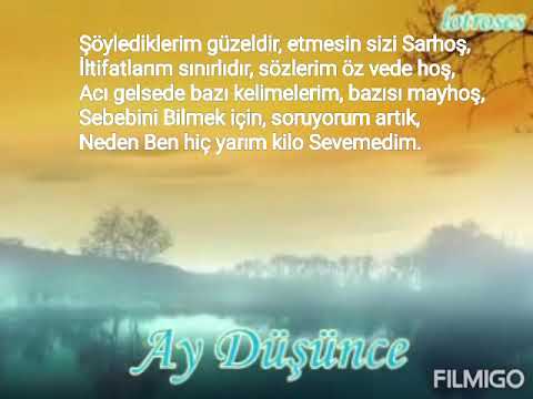 Ay düşünce - Yarım kilo Sevemedim şiir