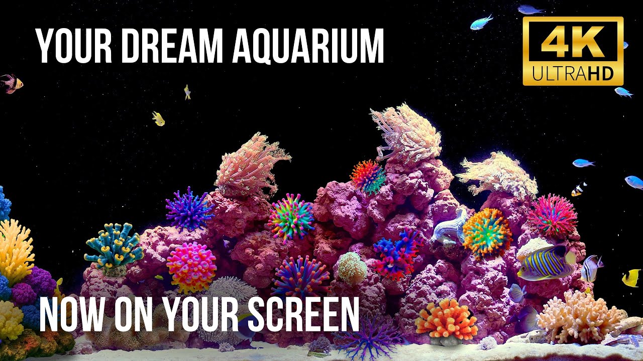 🐟 Peaceful Fish Tank 4K with Coral Reefs | Calming Aquarium Sounds for ...