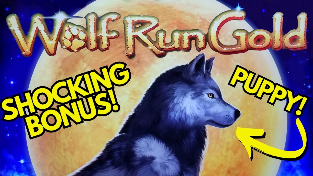 THIS BONUS WAS A TOTAL SHOCK on WOLF RUN GOLD SLOT MACHINE + CASHMAN ...