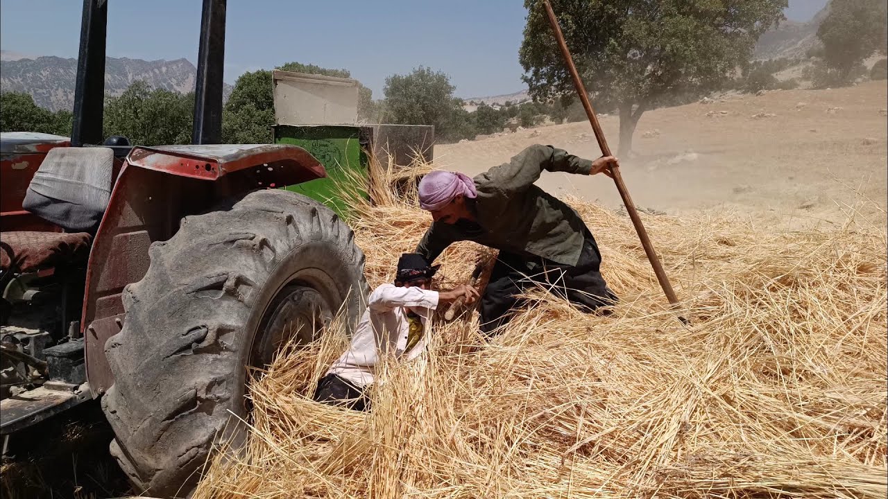 A very dangerous fall of a nomadic farmer under the tires of a tractor ...