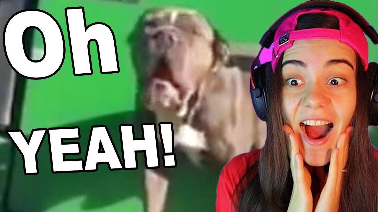 Can I get a Oh, Yeaaaaaaaaaaaaah? - YouTube