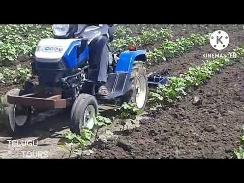 swaraj code tractor performance in black soil - YouTube
