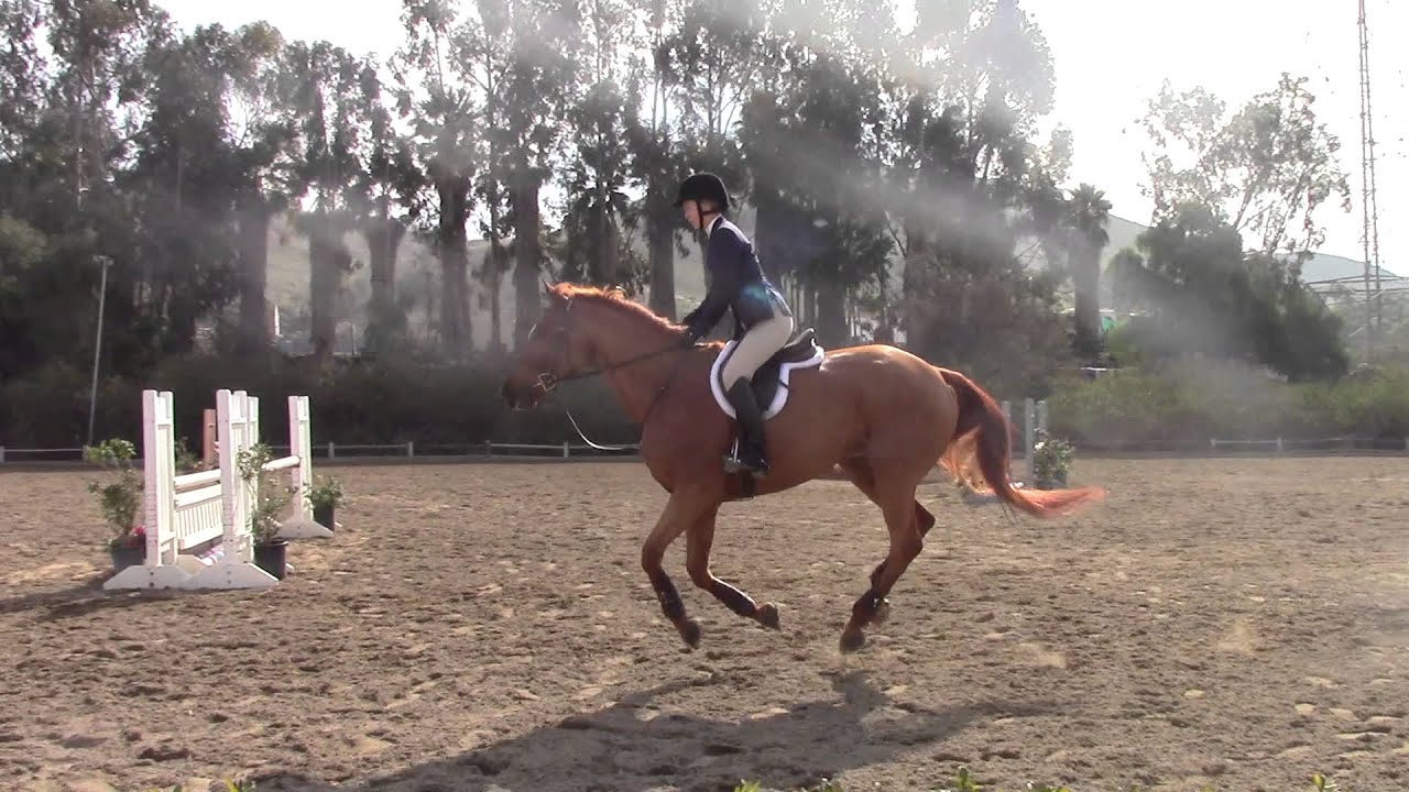 Madison Elizabeth Luker JV Medal 3' 2016 - YouTube