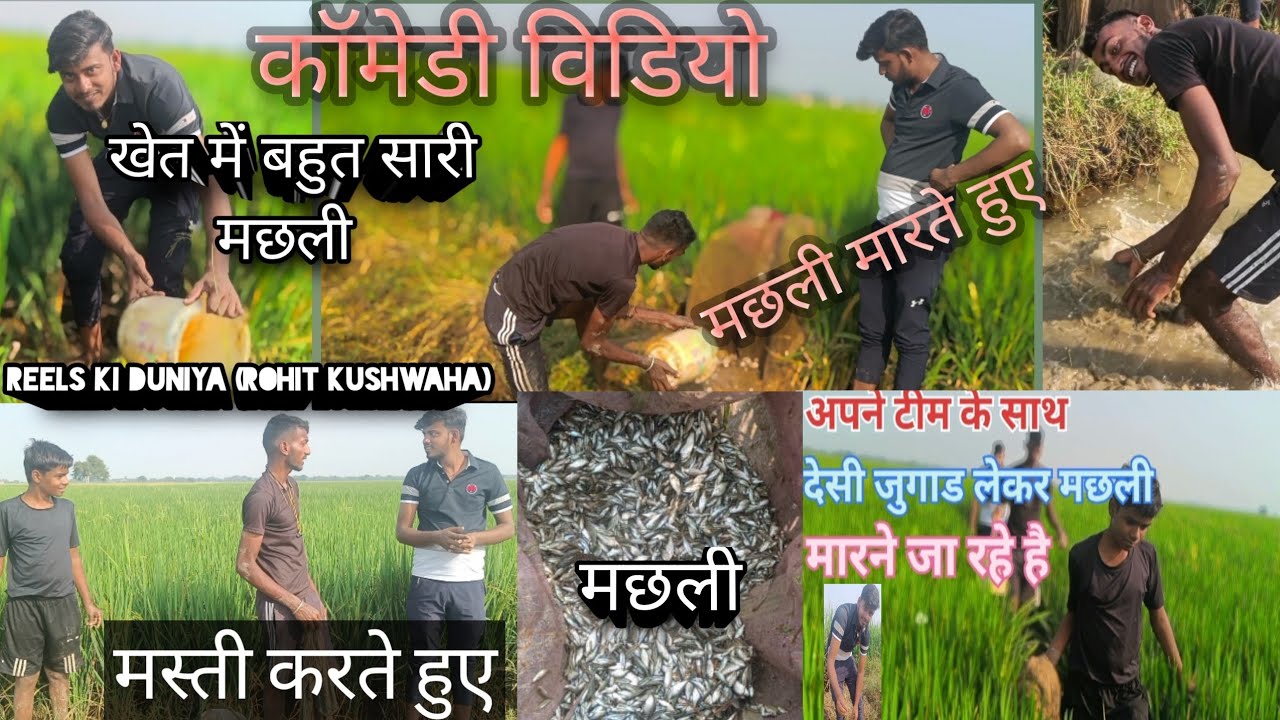 धान के खेत में#मछली पकड़ने का सबसे आसान तरीका#देसी जुगाड के साथ#मछली# ...