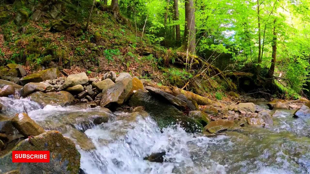 Relaxing Nature Sounds to Rest the Mind, Stress, Anxiety, Relax • Heal ...