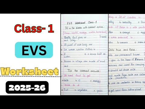 Class 1 EVS Worksheets || Daily Practice Worksheet For Class 1st - YouTube