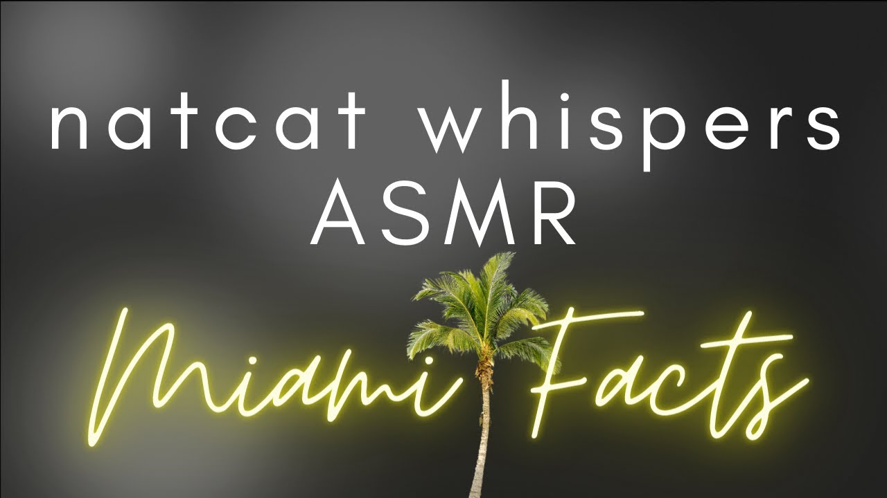 ASMR | Whispered Facts about Miami - YouTube
