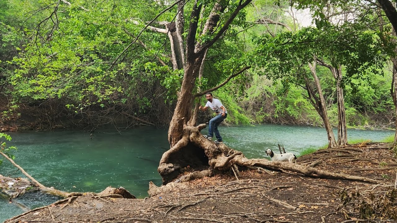 Toletiando (de paseo) en San Antonio del Río Champotón - YouTube