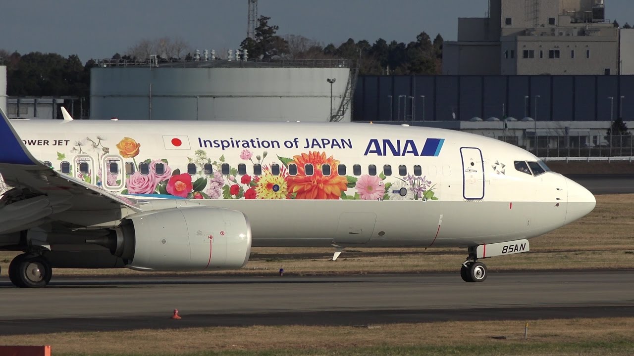 ANA Tohoku Flower Jet Livery Boeing 737-800 JA85AN Landing at NRT 34L ...