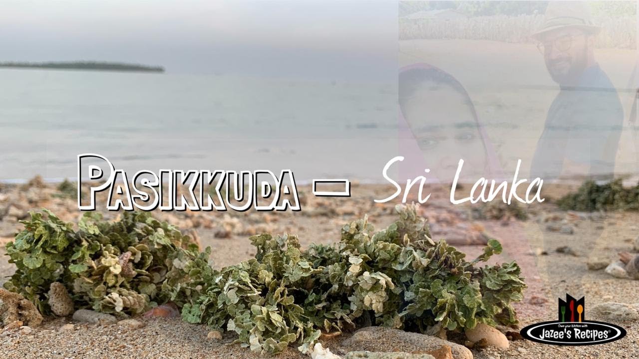 Pasikuda Beach | Kathankudi | Kalmunai | Eastern Coastal Sri Lanka ...