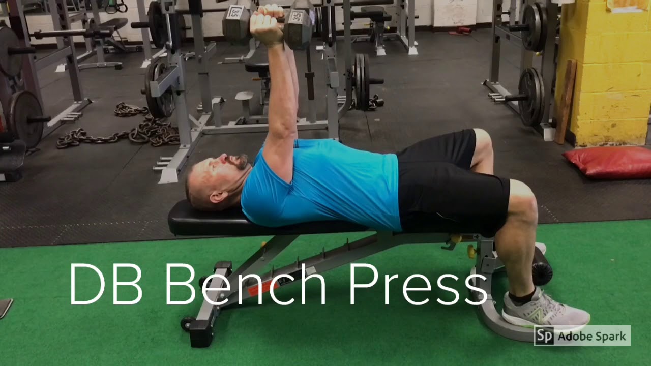 DB Bench Press - YouTube