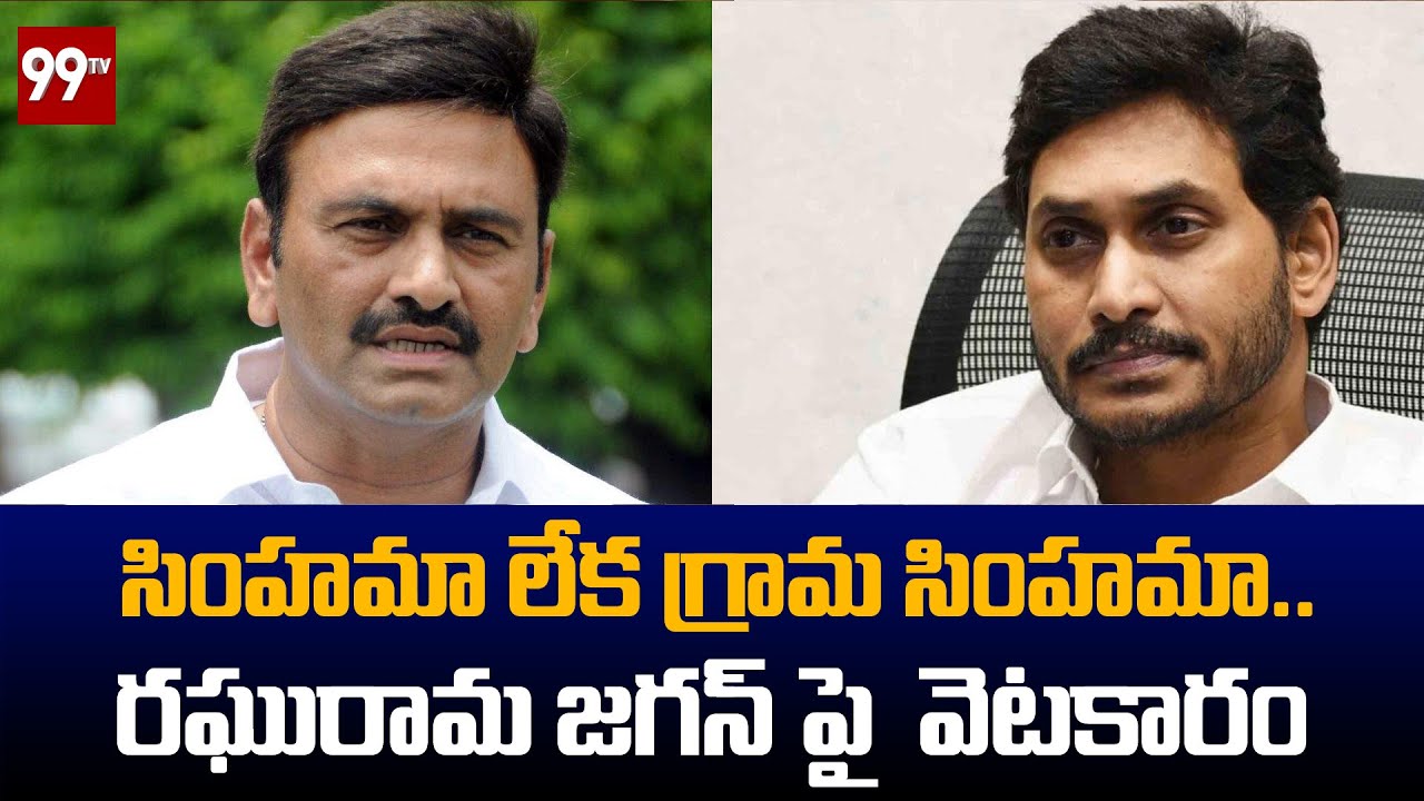 సింహమా లేక గ్రామ సింహమా.. రఘురామ జగన్ పై వెటకారం : Raghurama funny ...