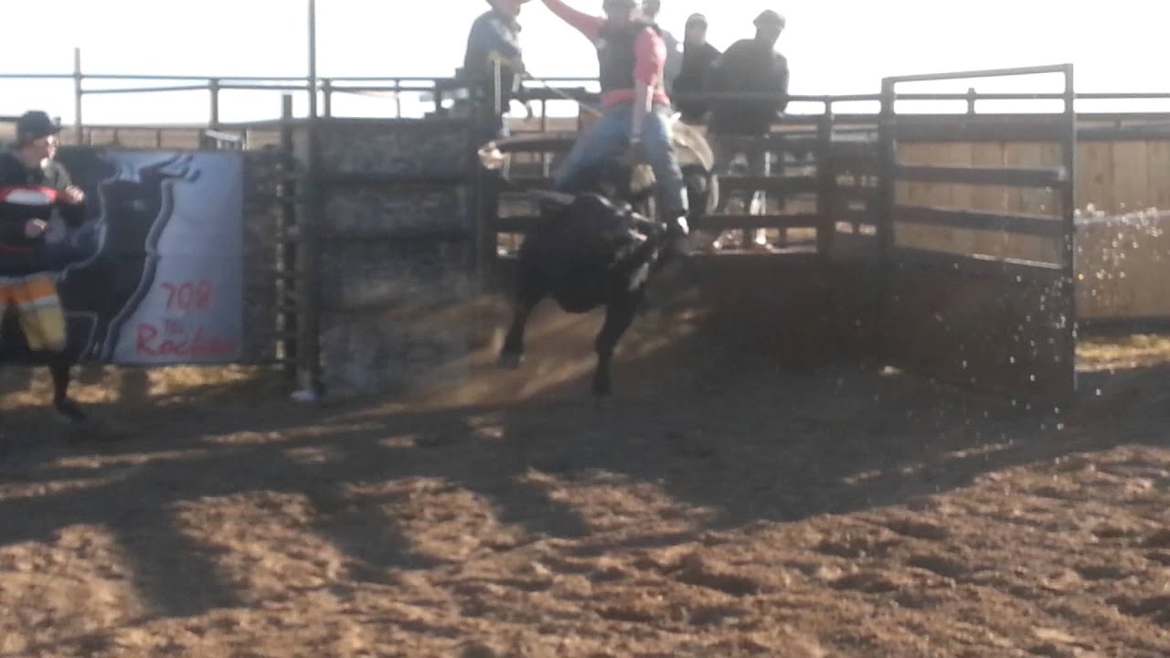 Wyatt Crowder Bucking Bulls - YouTube