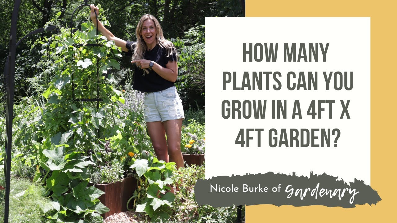 How Many Plants Can You Grow In A 4ft X 4ft Garden YouTube