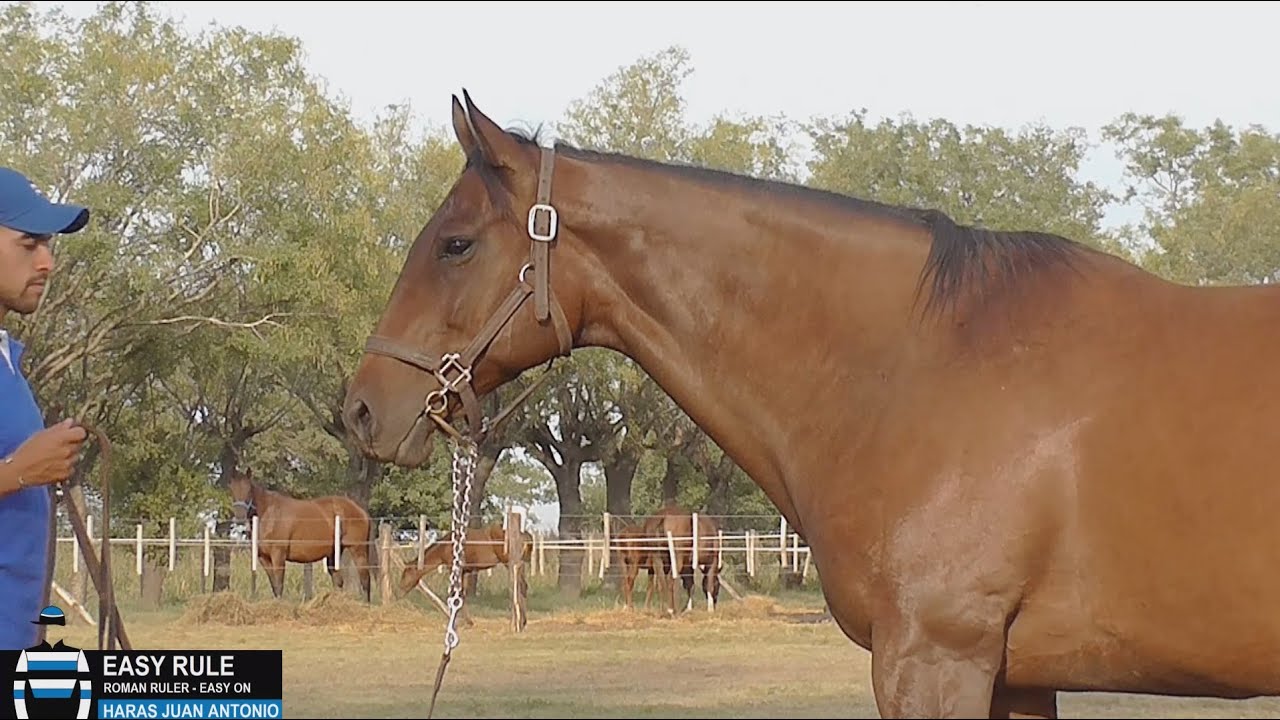 18 EASY RULE - YouTube